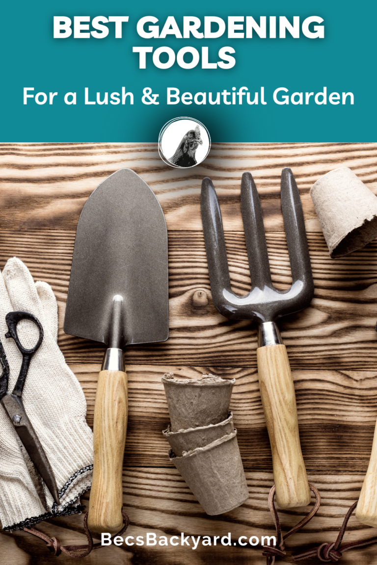 Best Gardening Tools for a Lush and Beautiful Garden