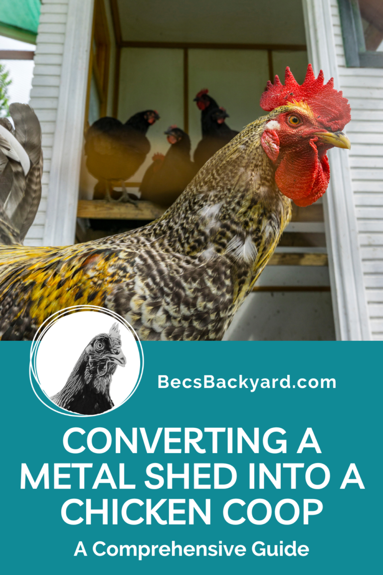 How to Convert a Metal Shed into a Metal Chicken Coop: A Comprehensive ...