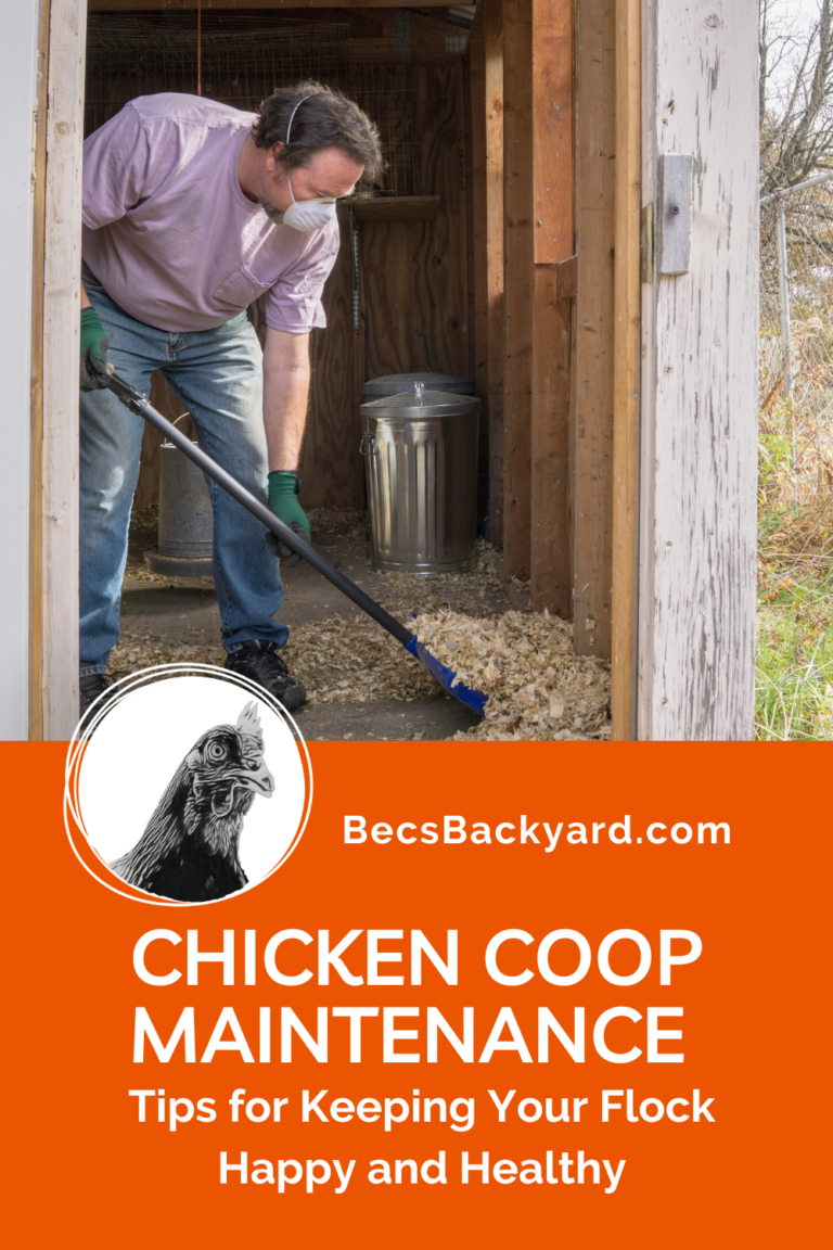 Chicken Coop Maintenance: Tips for Keeping Your Flock Happy and Healthy ...