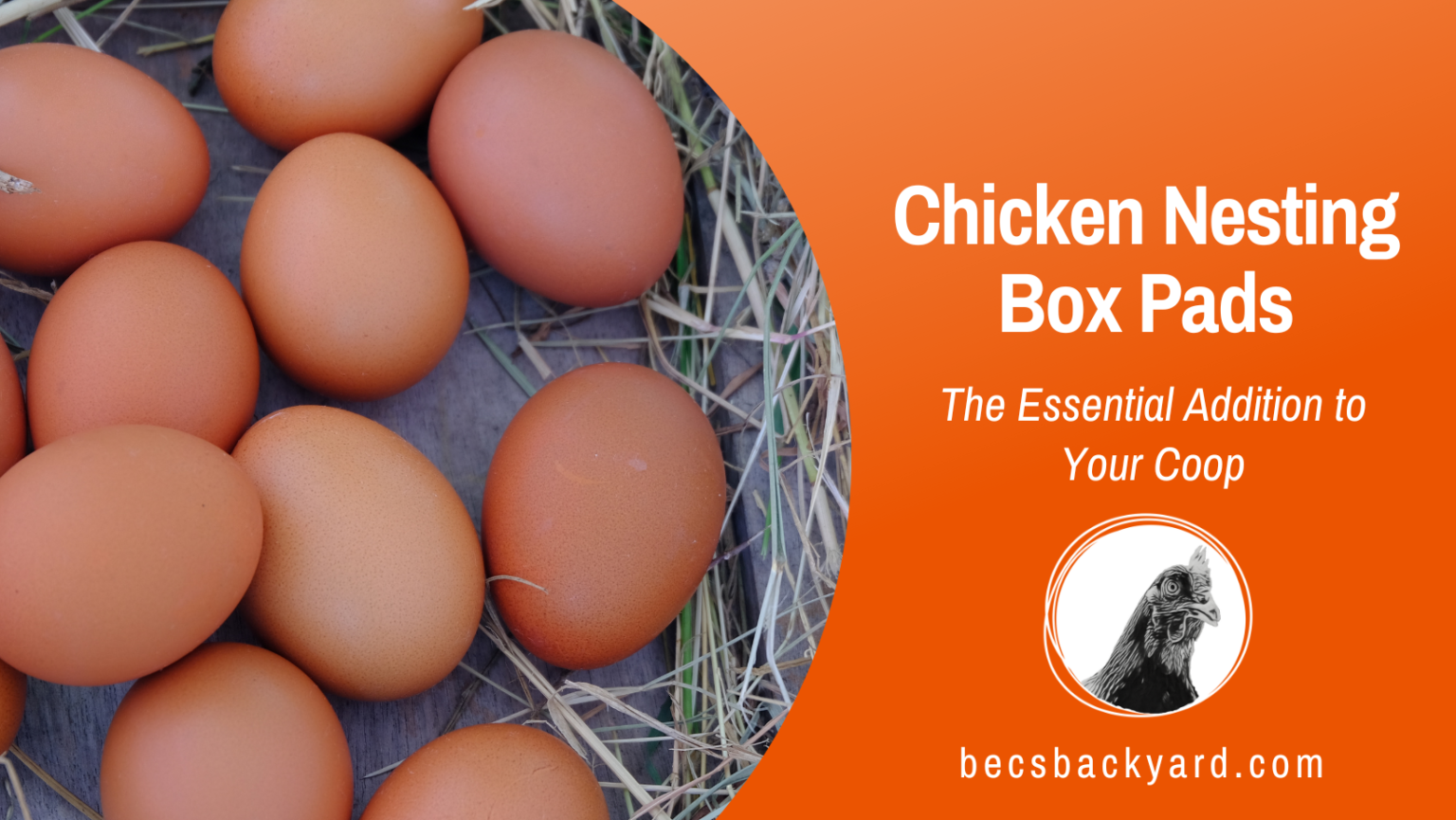Chicken Nesting Box Pads: The Essential Addition to Your Coop