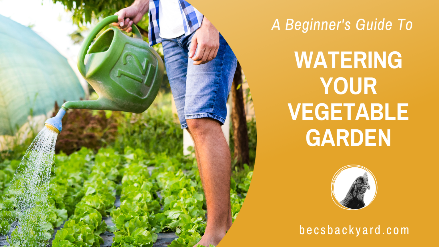 A Beginner's Guide To Watering Your Vegetable Garden - Becs Backyard
