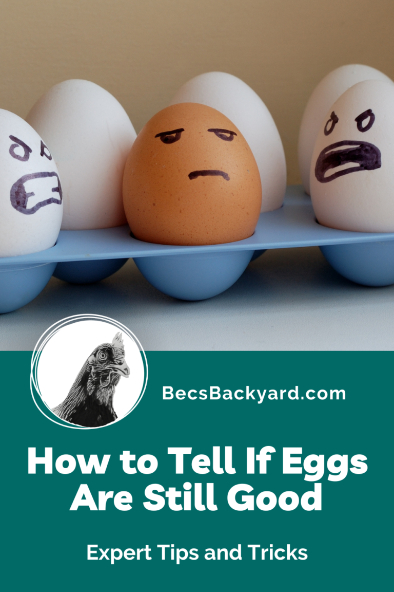 How to Tell If Eggs Are Still Good: Expert Tips and Tricks