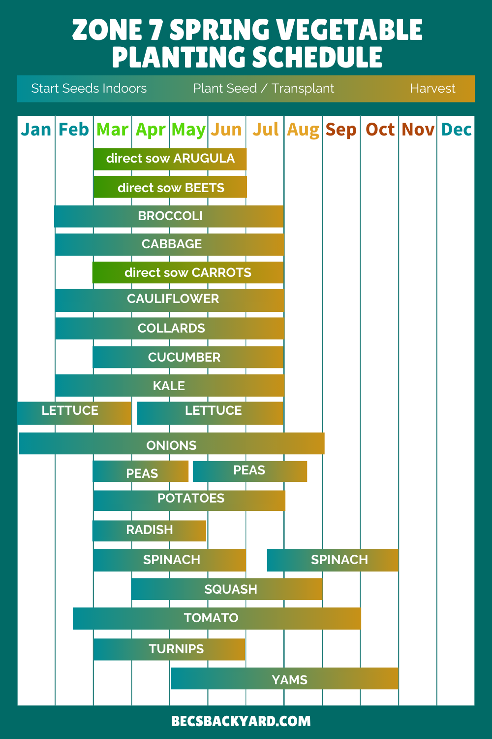 Zone 7 Spring Vegetable Planting Schedule: Your Guide to Timely Garden ...