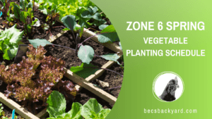 Zone 6 Spring Vegetable Planting Schedule: Your Guide to a Flourishing ...