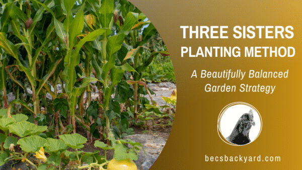 The Three Sisters Planting Method: A Beautifully Balanced Garden ...